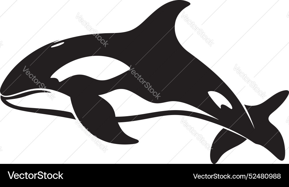 Darling ocean predator cute orca emblem playful Vector Image