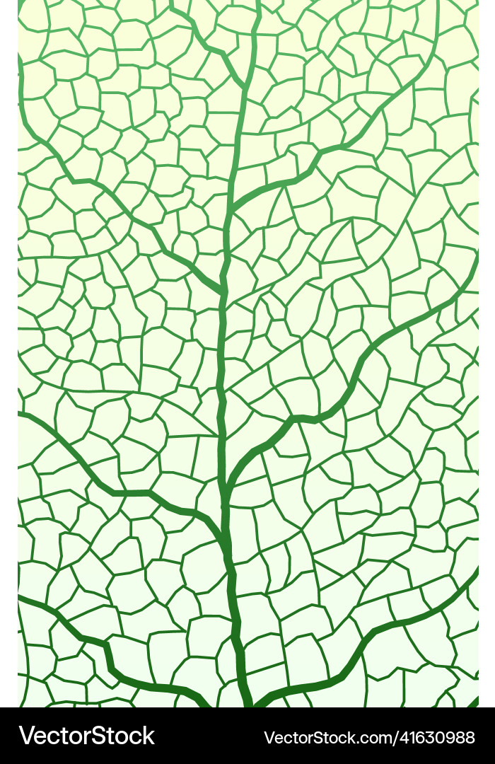Leaf vein texture isolated transparent Royalty Free Vector