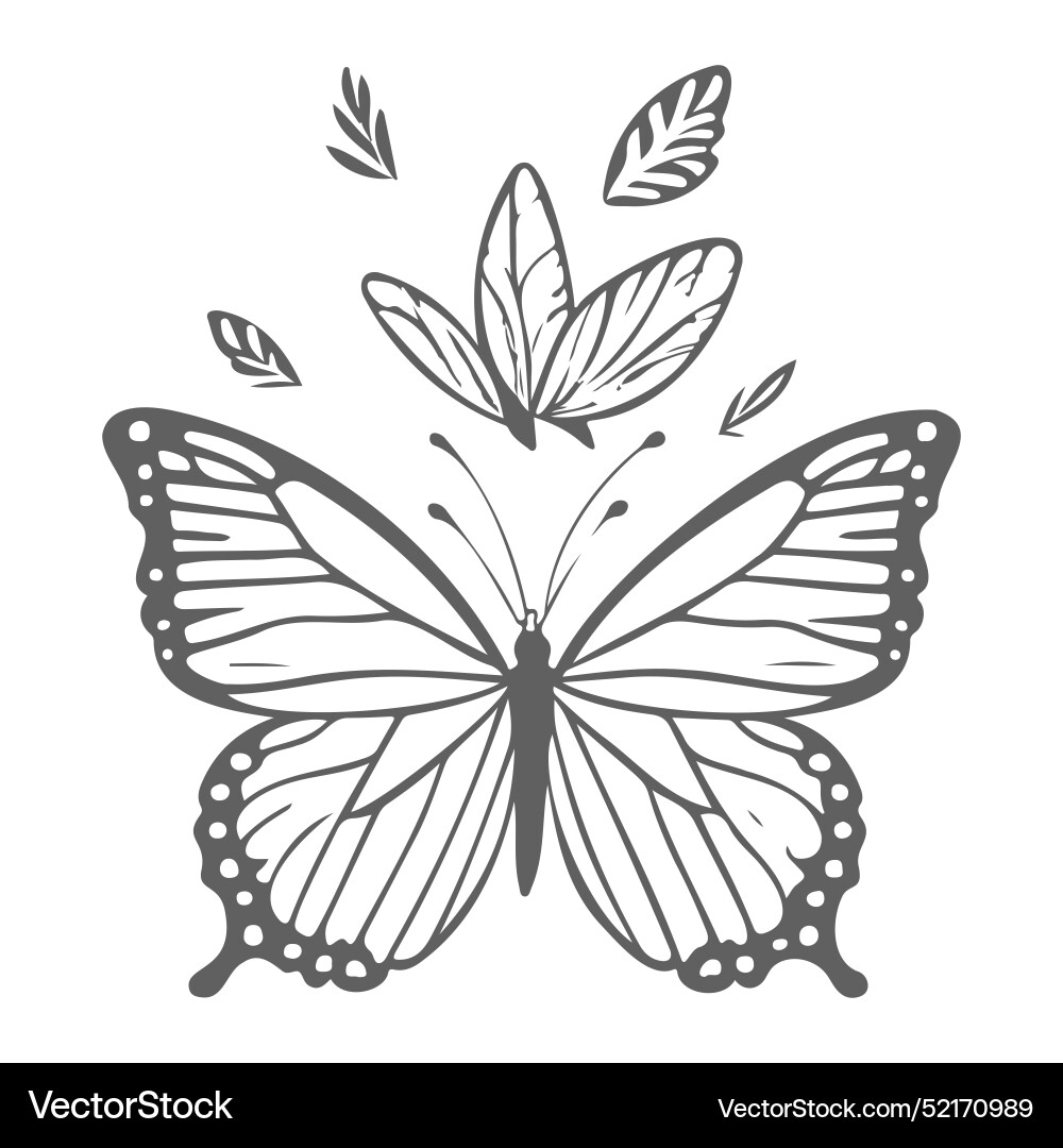 Animal butterfly sketch grey Royalty Free Vector Image