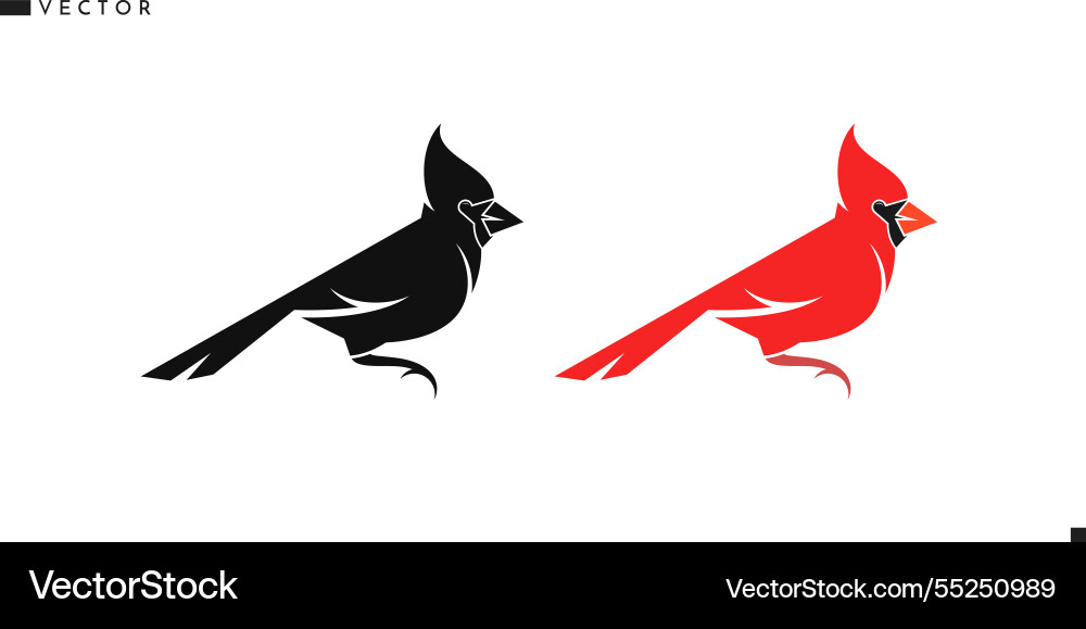 Northern cardinal bird Royalty Free Vector Image