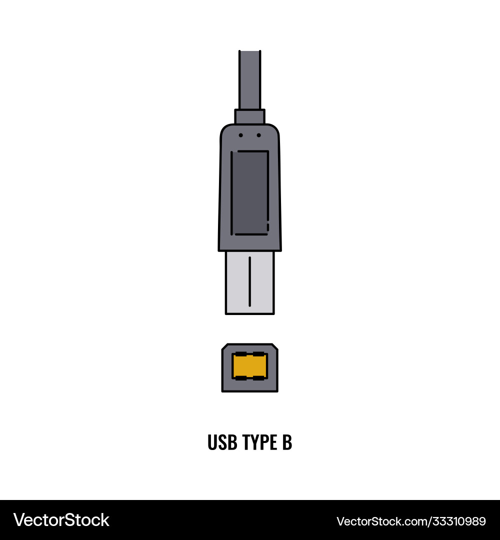 Usb type b cable and plug connector isolated Vector Image