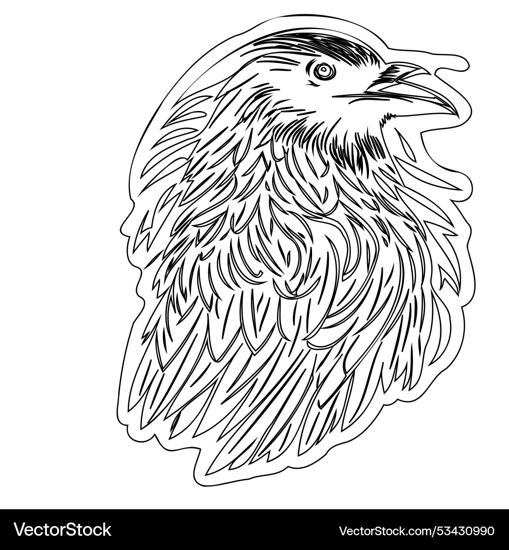 Raven or crow outline sketch Royalty Free Vector Image