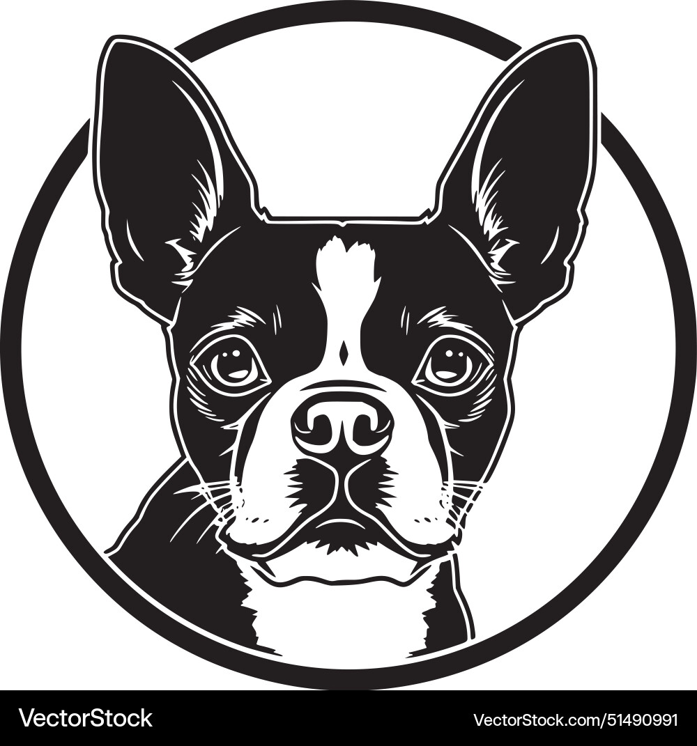 Boston terrier - minimalist and flat logo Vector Image