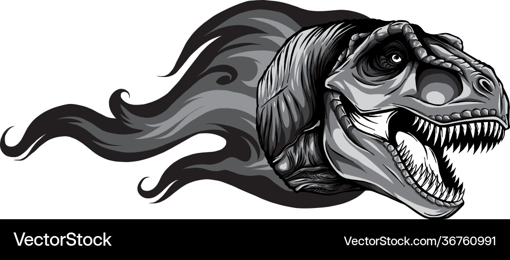 Monochromatic dinosaurus tyrannosaurus rex head Vector Image