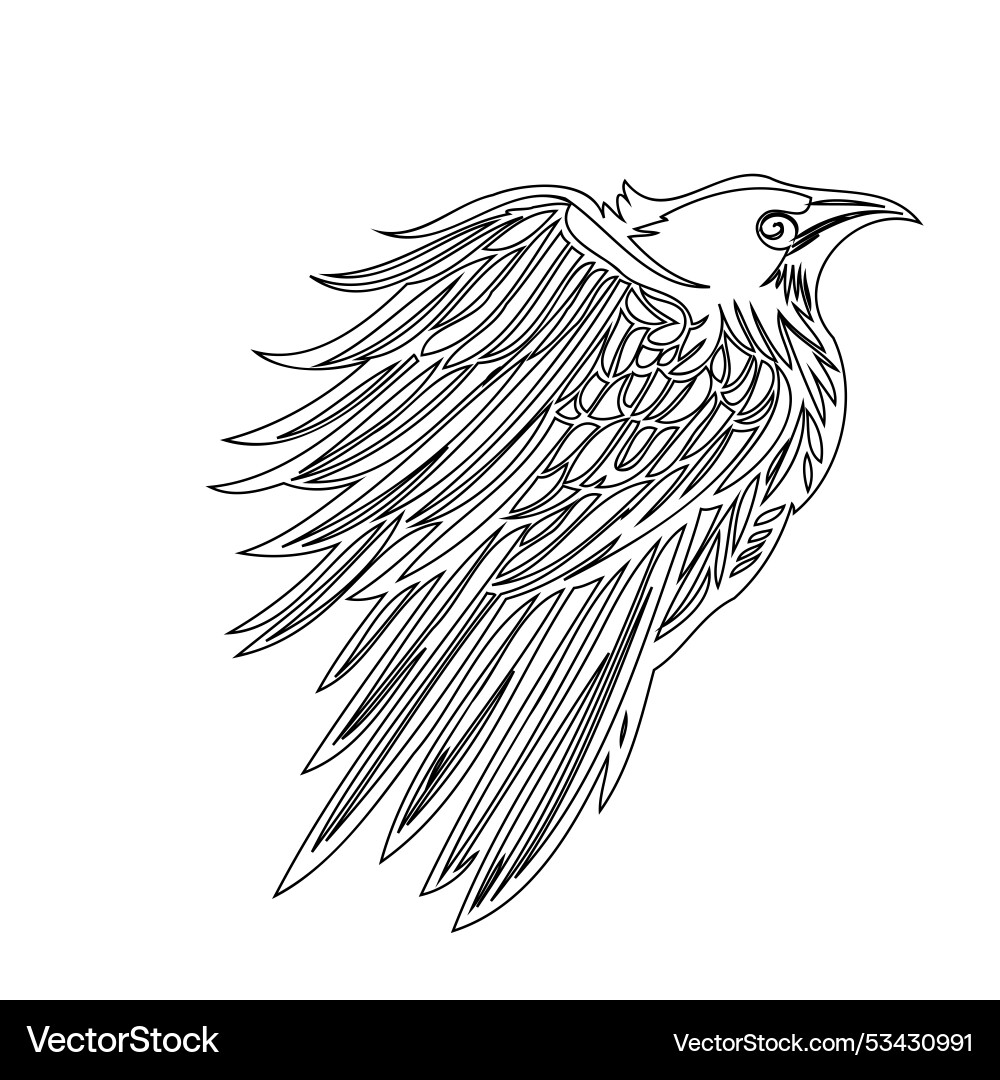 Raven or crow outline sketch Royalty Free Vector Image
