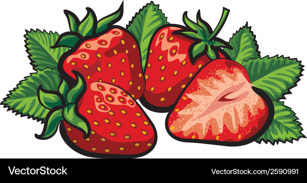 Strawberry Royalty Free Vector Image - VectorStock