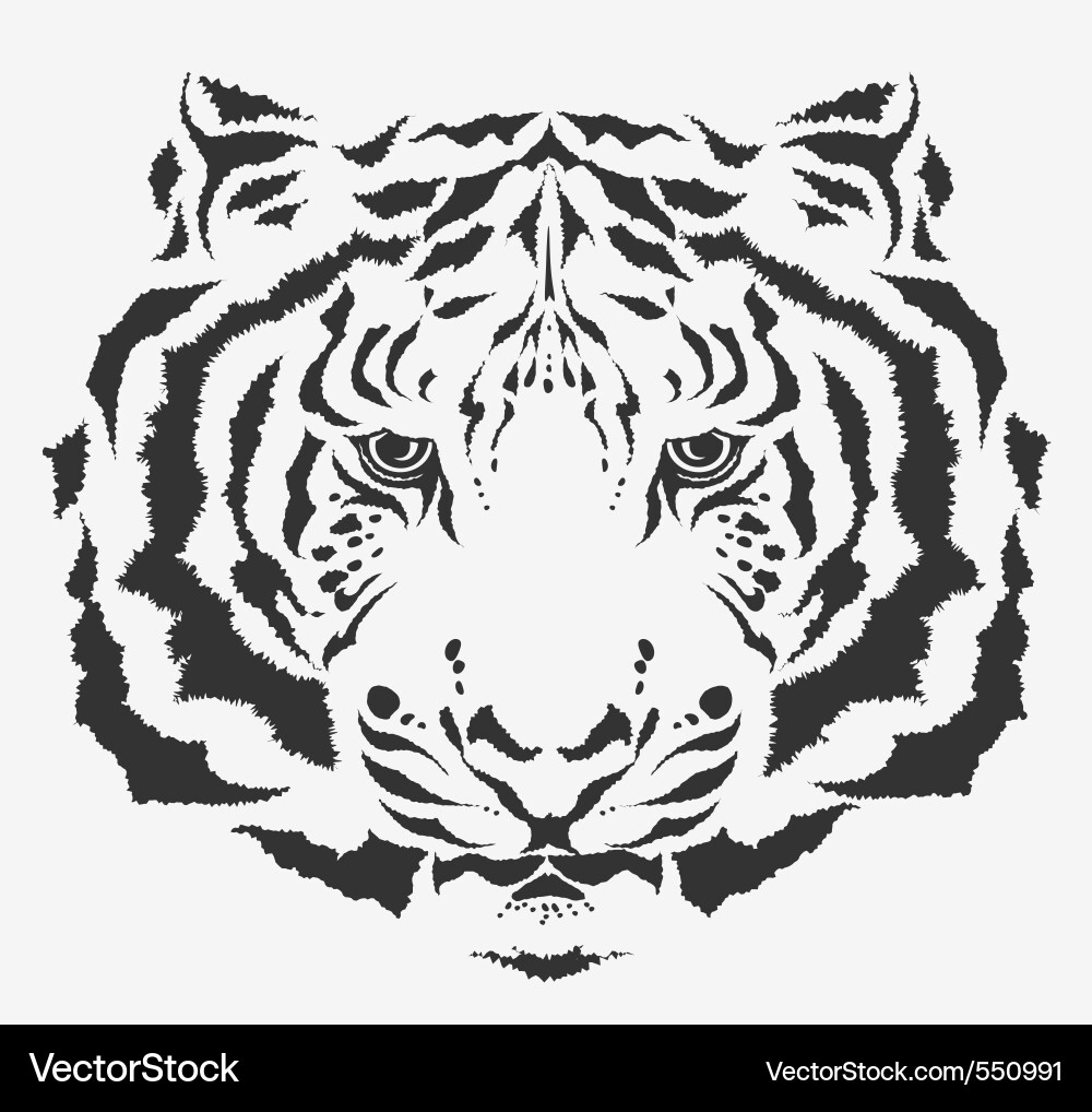 Tiger Royalty Free Vector Image - VectorStock