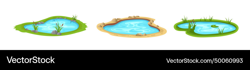 Blue pond and lake template Royalty Free Vector Image