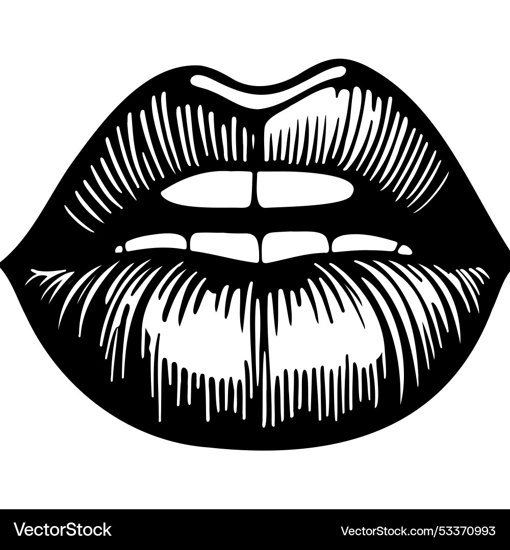 Lips drawing realistic outline line transparent Vector Image