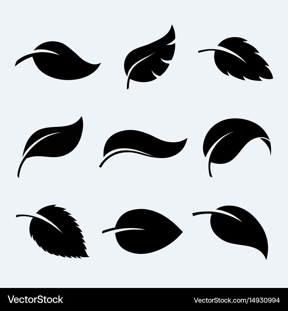 Leaves set Royalty Free Vector Image - VectorStock