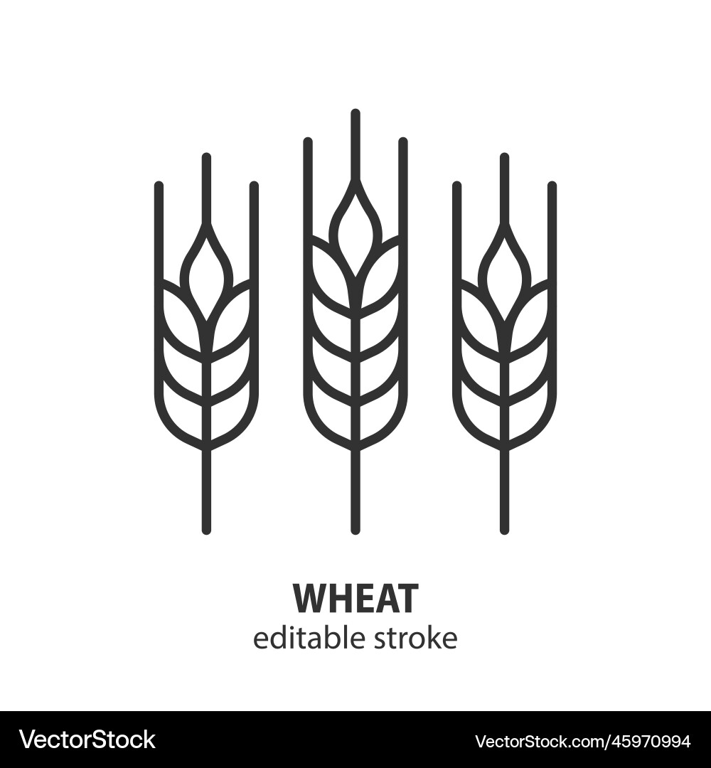 Wheat Ear Line Icon - Barley Outline Royalty Free Vector