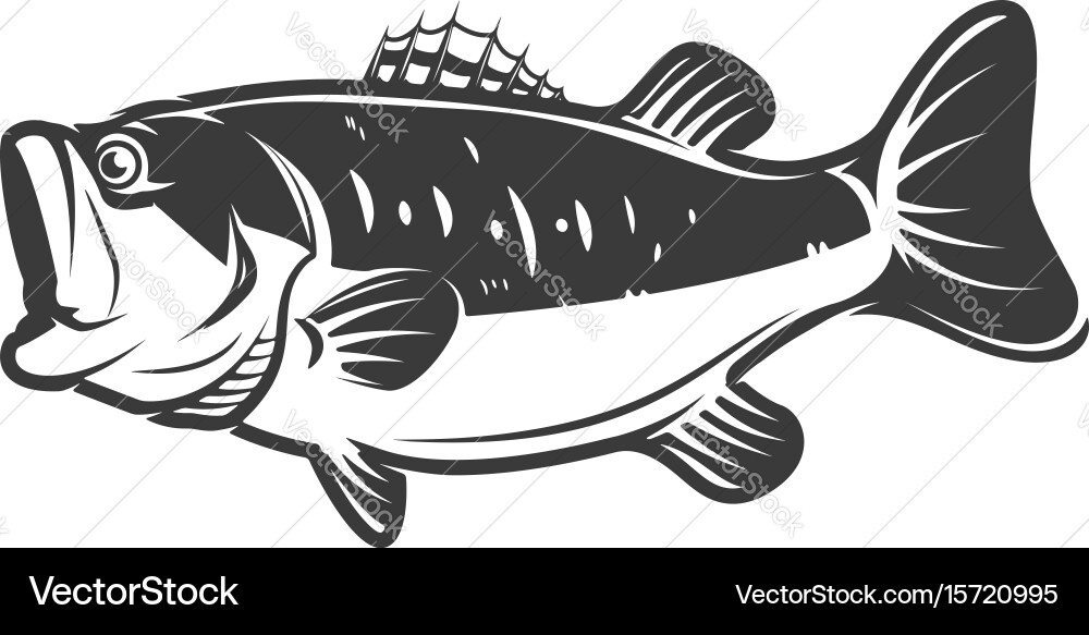 Bass fish icons isolated on white background Vector Image