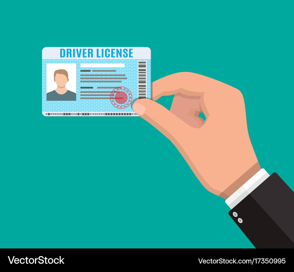 Car driver license identification card with photo Vector Image