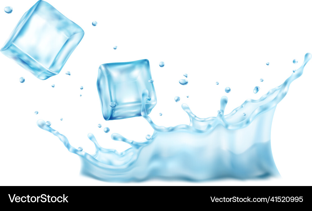 Ice cubes water composition Royalty Free Vector Image
