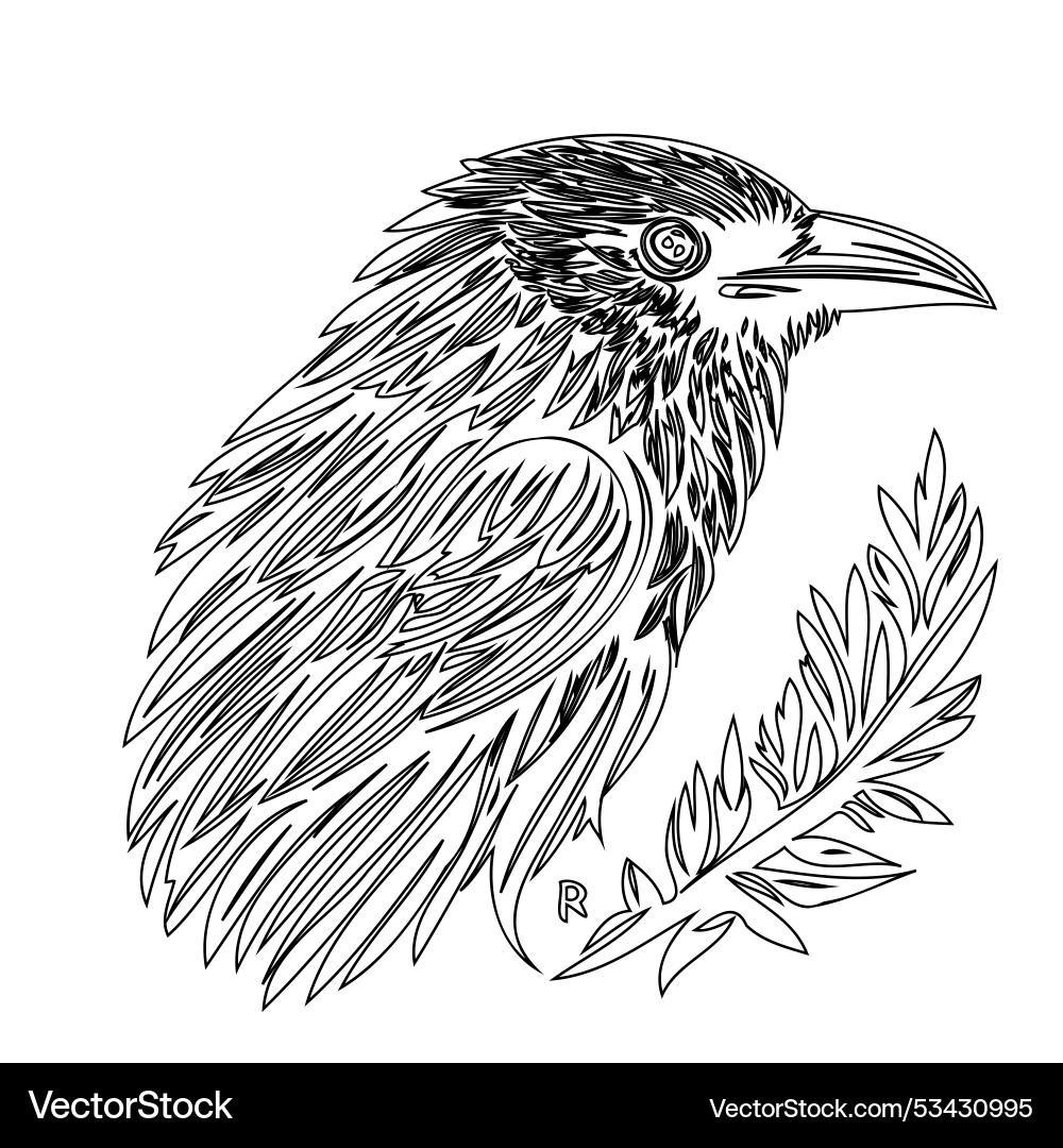 Raven or crow outline sketch Royalty Free Vector Image