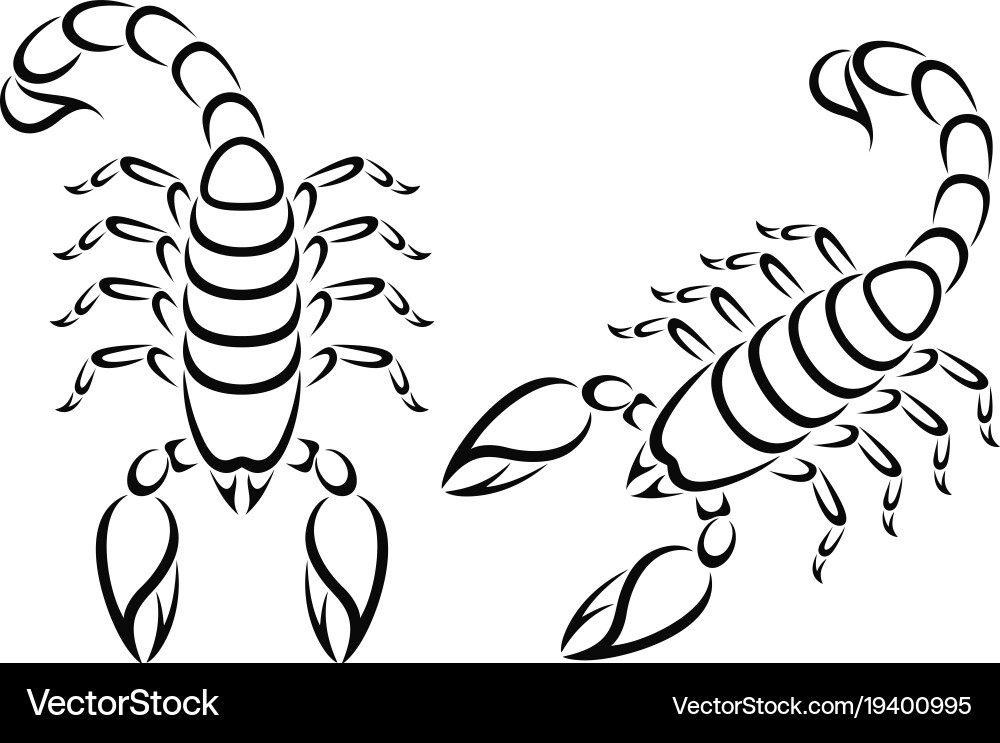 Scorpio outline Royalty Free Vector Image - VectorStock