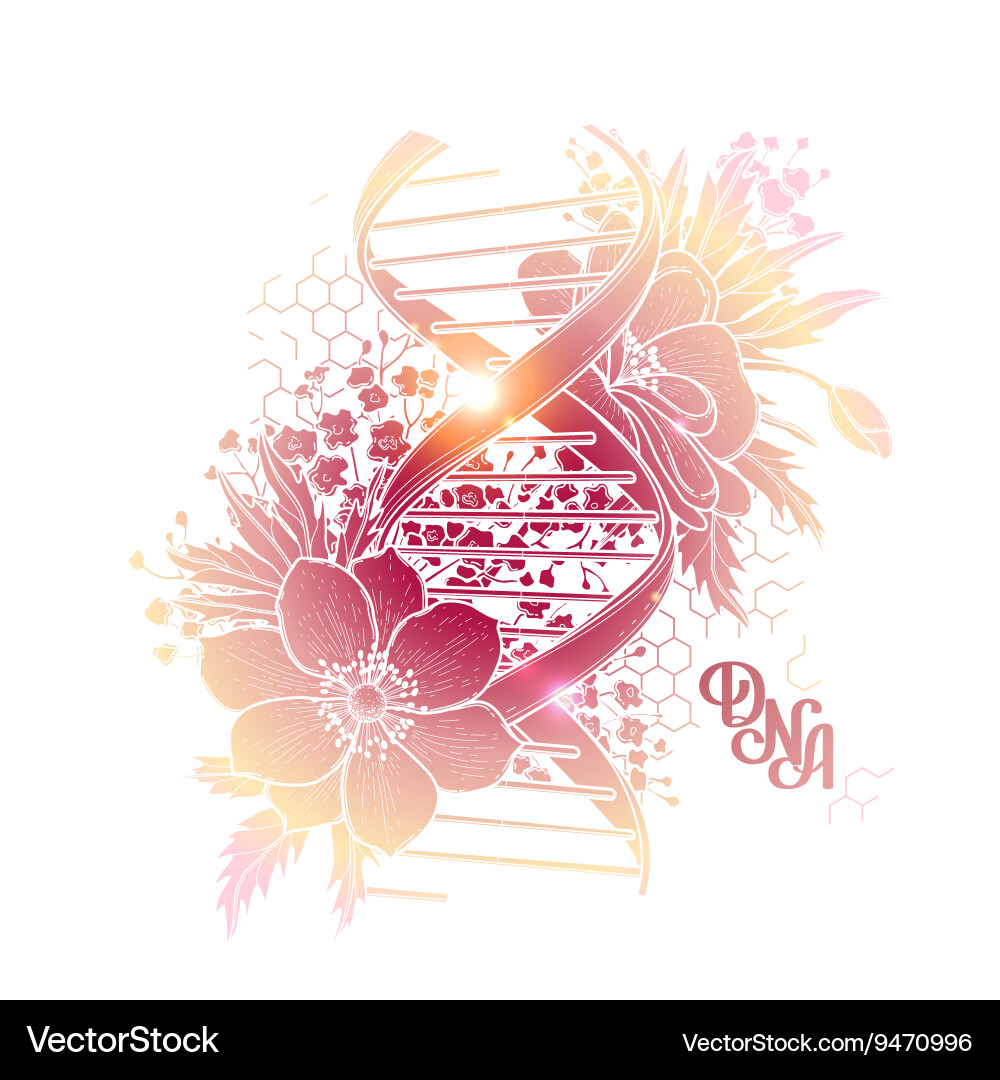 Graphic dna structure Royalty Free Vector Image