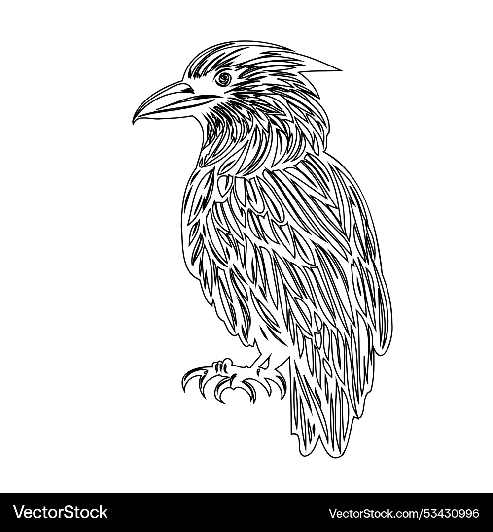 Raven or crow outline sketch Royalty Free Vector Image