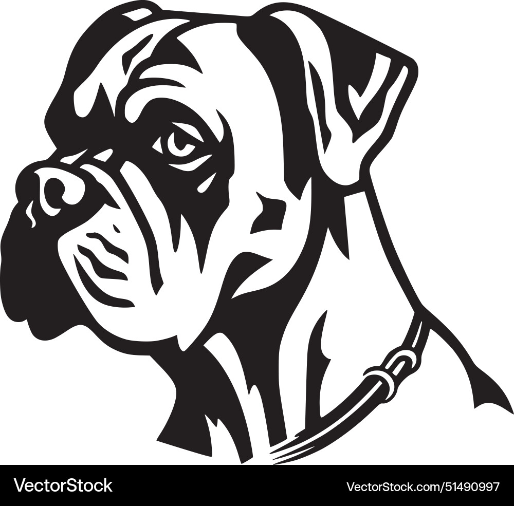 Boxer - high quality logo ideal for t-shirt Vector Image