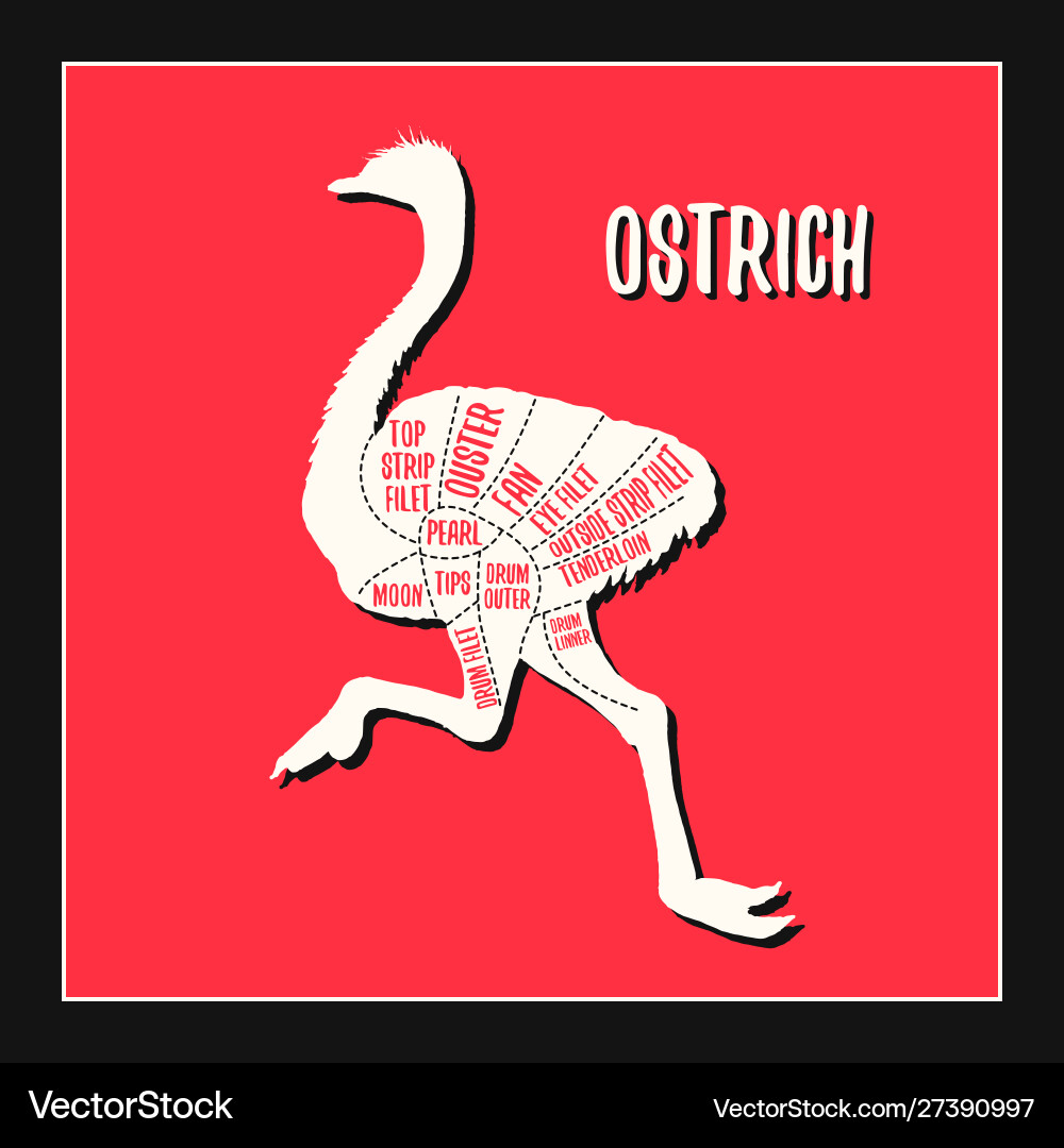 Ostrich Meat Cuts Flank Steak: The Butcher's Well Kept Secret