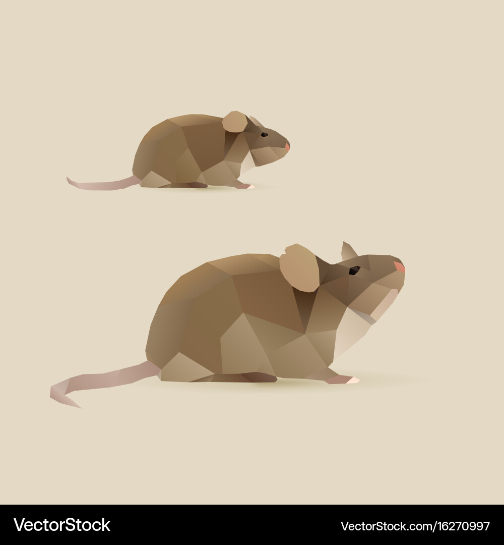 Polygonal Mouse Icon Royalty Free Vector Image