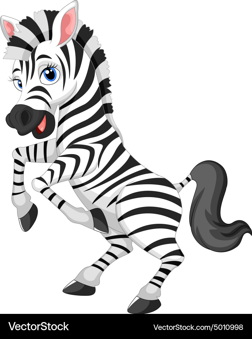 Cartoon zebra Royalty Free Vector Image - VectorStock
