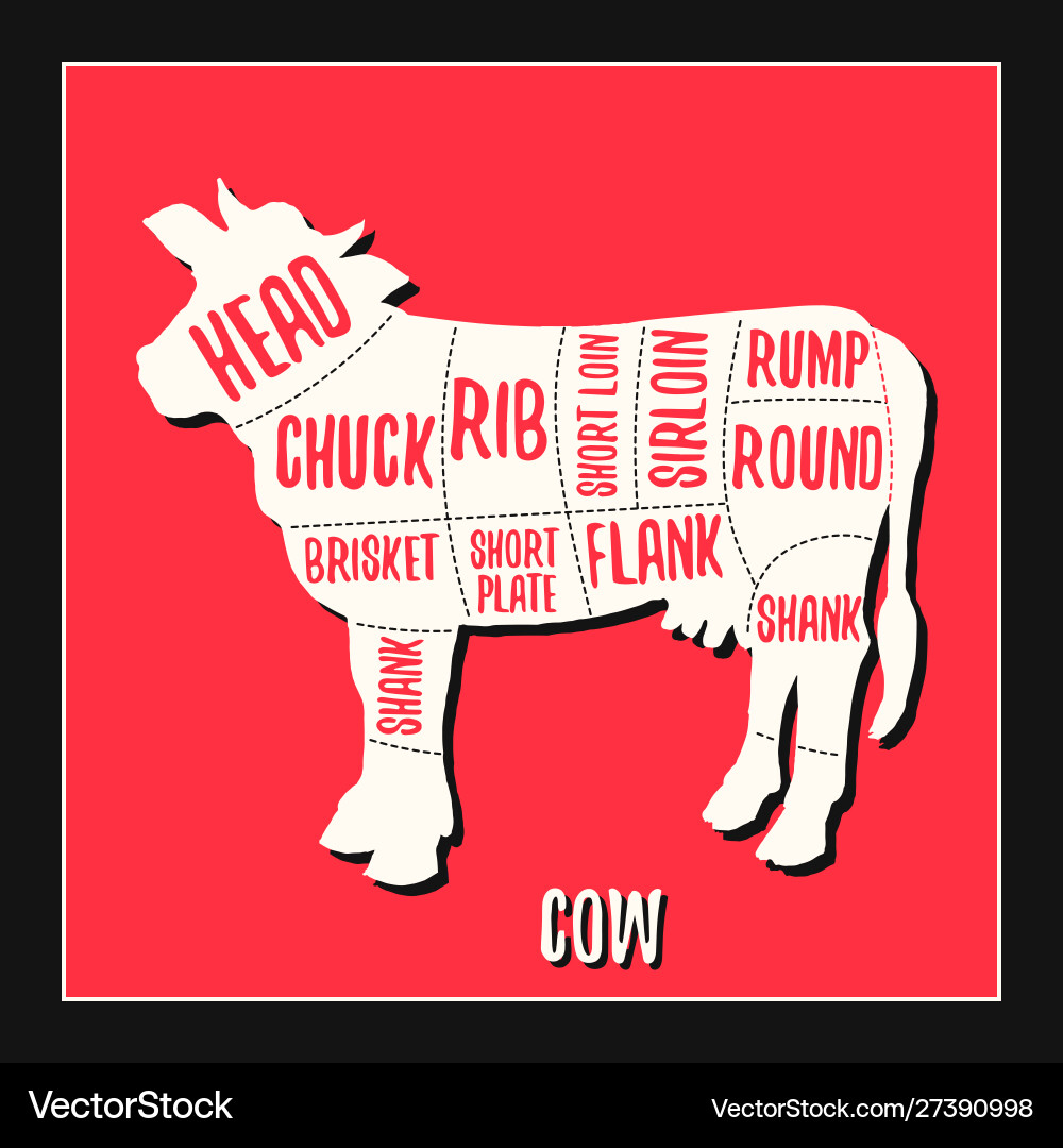Cow meat cutting charts Royalty Free Vector Image