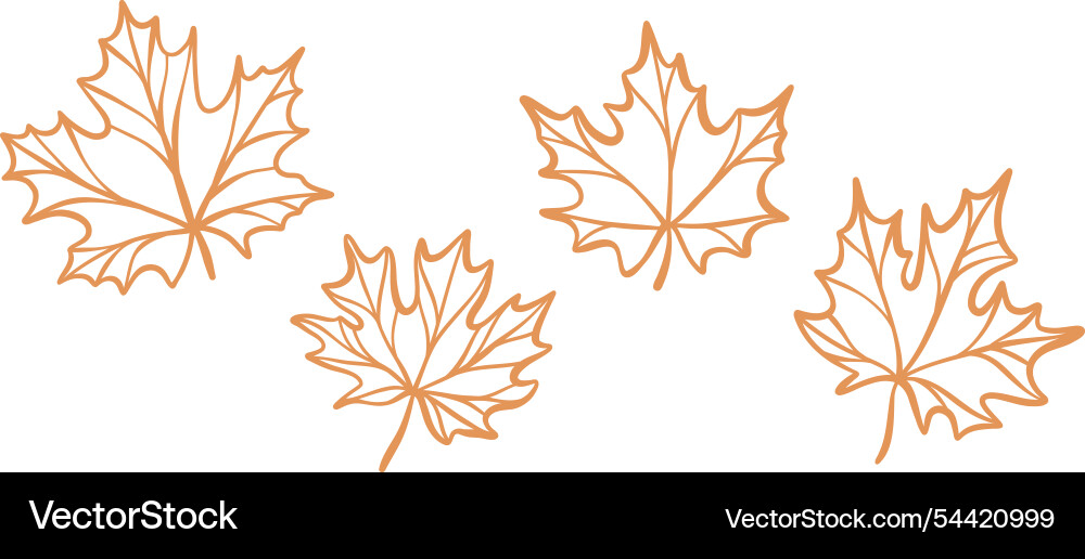 Maple leaves line art leaf doodle set Royalty Free Vector