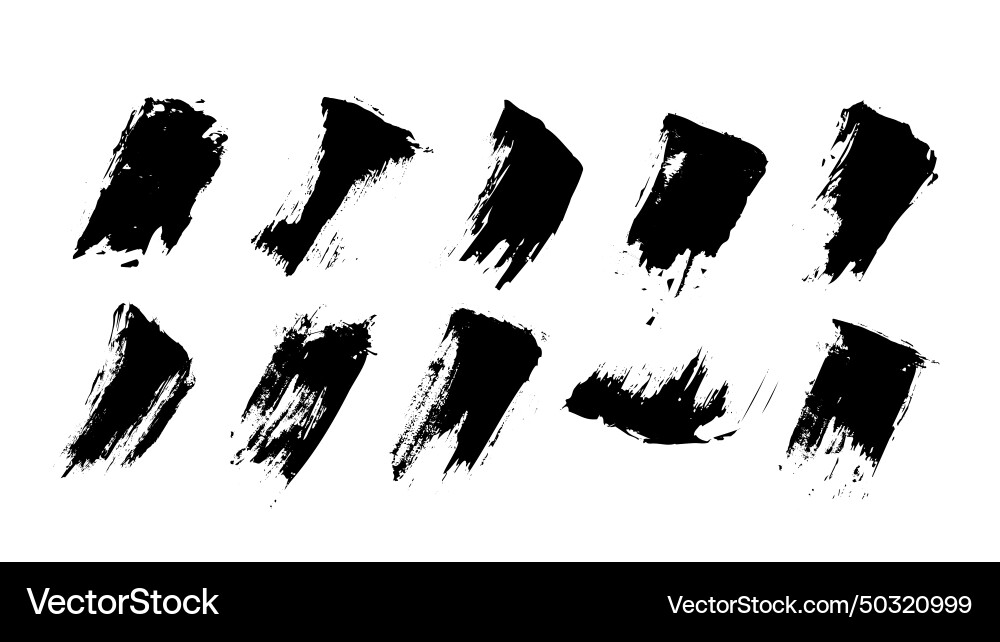 Paint brush graphic collection Royalty Free Vector Image