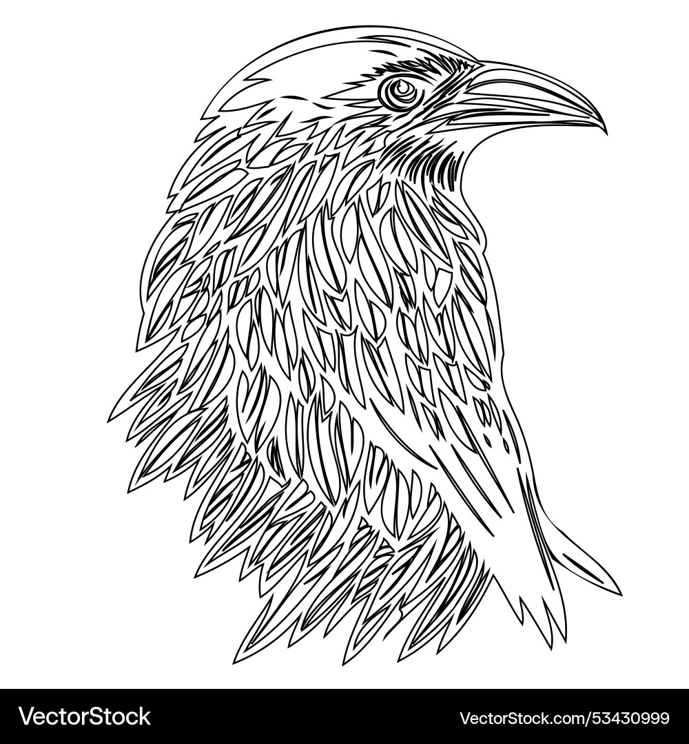 Raven or crow outline sketch Royalty Free Vector Image