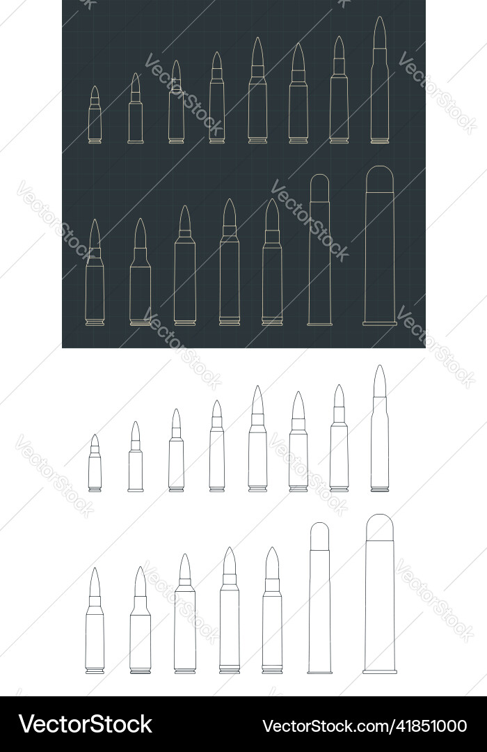 Bullets of various calibers set Royalty Free Vector Image