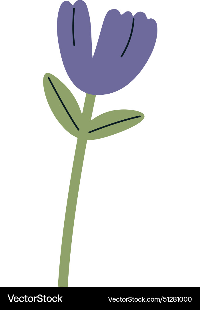 Flower on stem Royalty Free Vector Image - VectorStock
