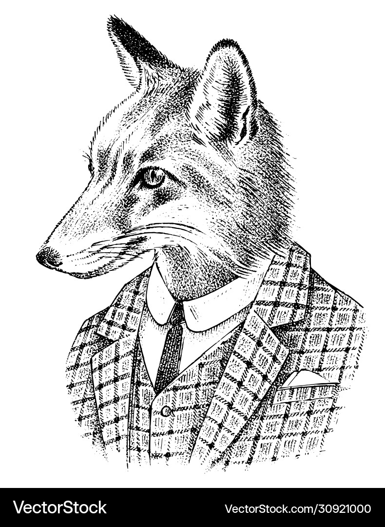 Anthropomorphic Fox Vector Images (over 190)