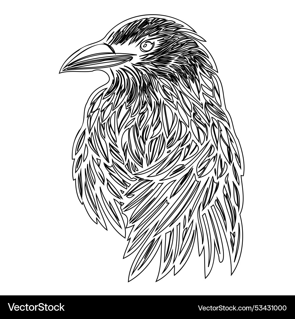 Raven or crow outline sketch Royalty Free Vector Image