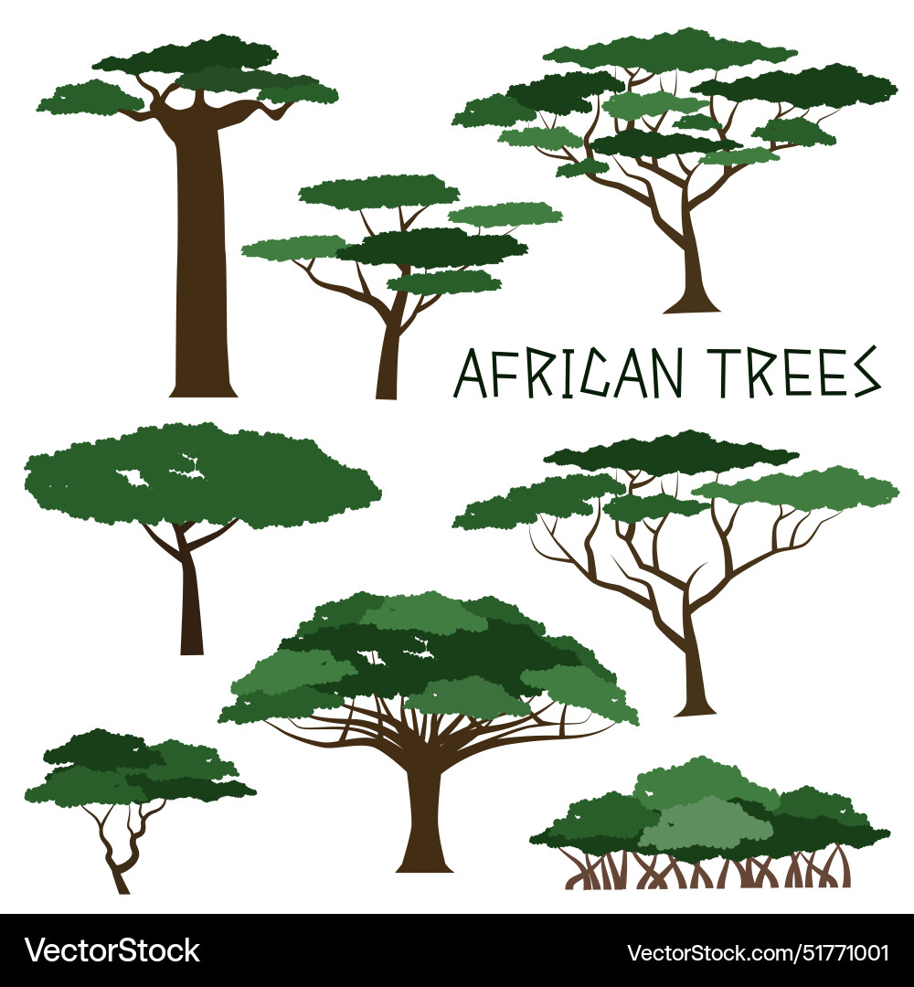 African trees colored silhouette Royalty Free Vector Image