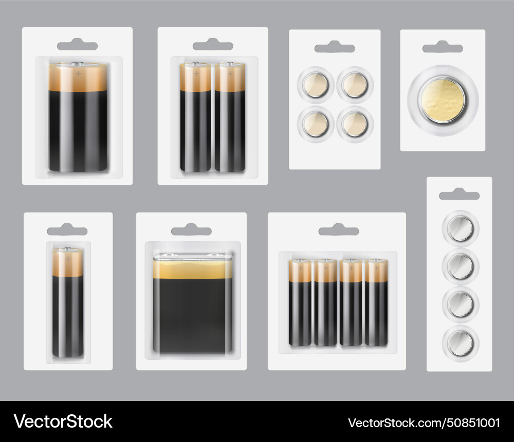 Batteries packages set Royalty Free Vector Image