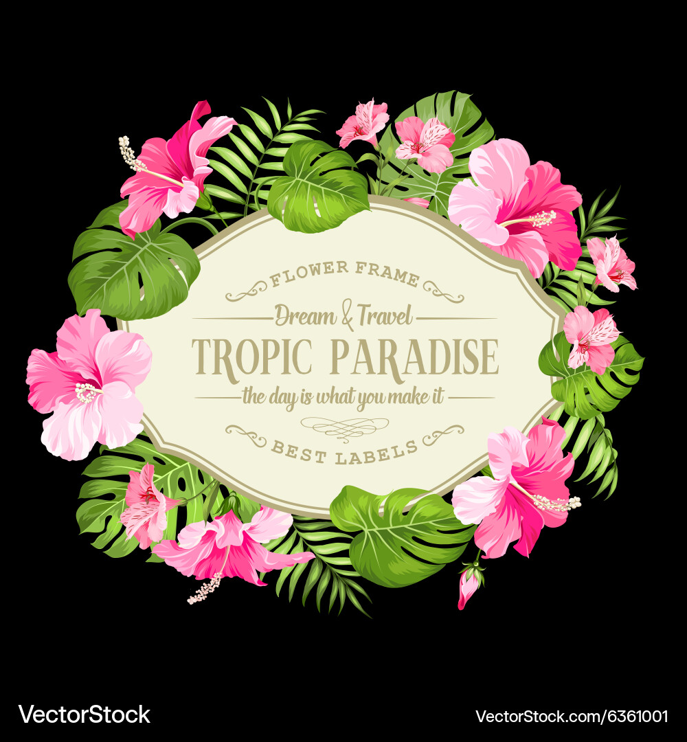 Beautiful card Royalty Free Vector Image - VectorStock