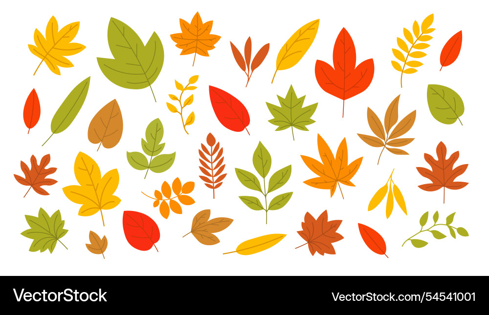 Colorful autumn leaves various shapes fall Vector Image