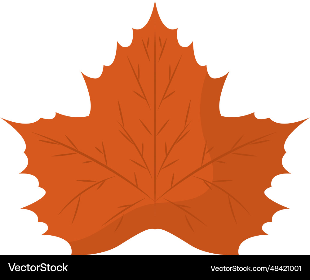 Isolated colored autumn leaf icon Royalty Free Vector Image