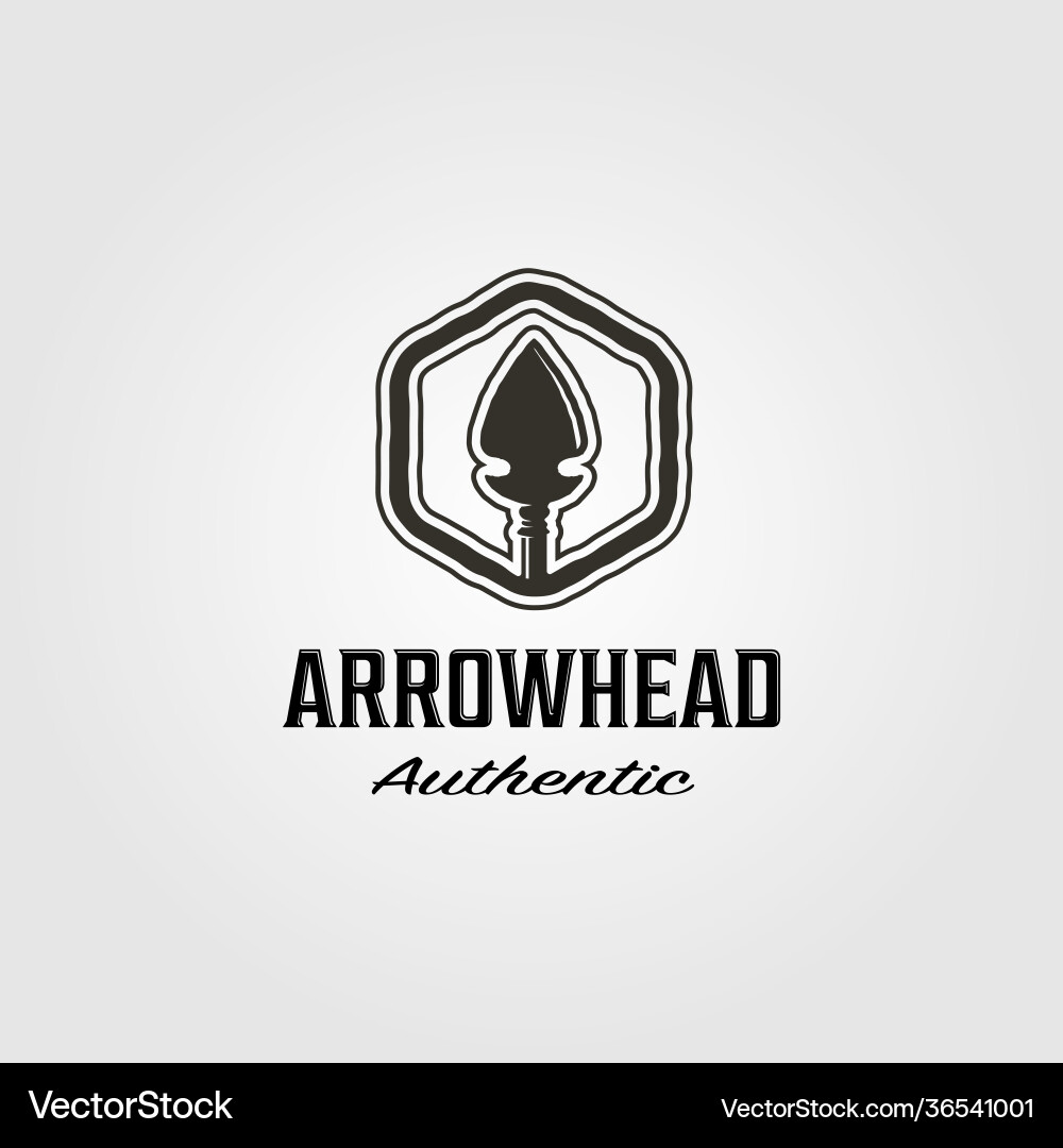 Native american arrowhead logo hunt design Vector Image