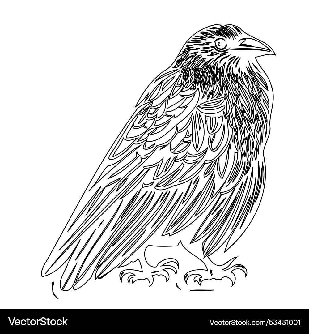 Raven or crow outline sketch Royalty Free Vector Image
