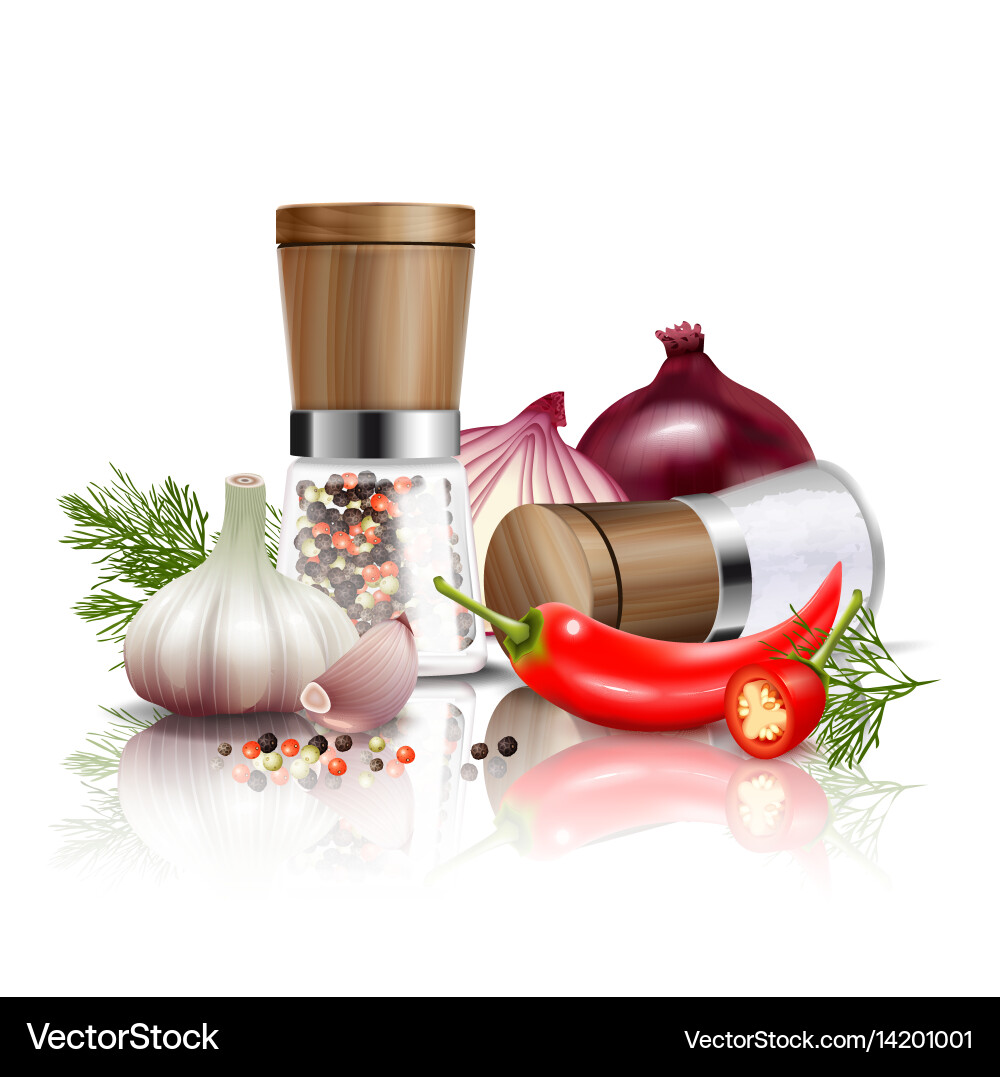 Spices vegetables composition Royalty Free Vector Image