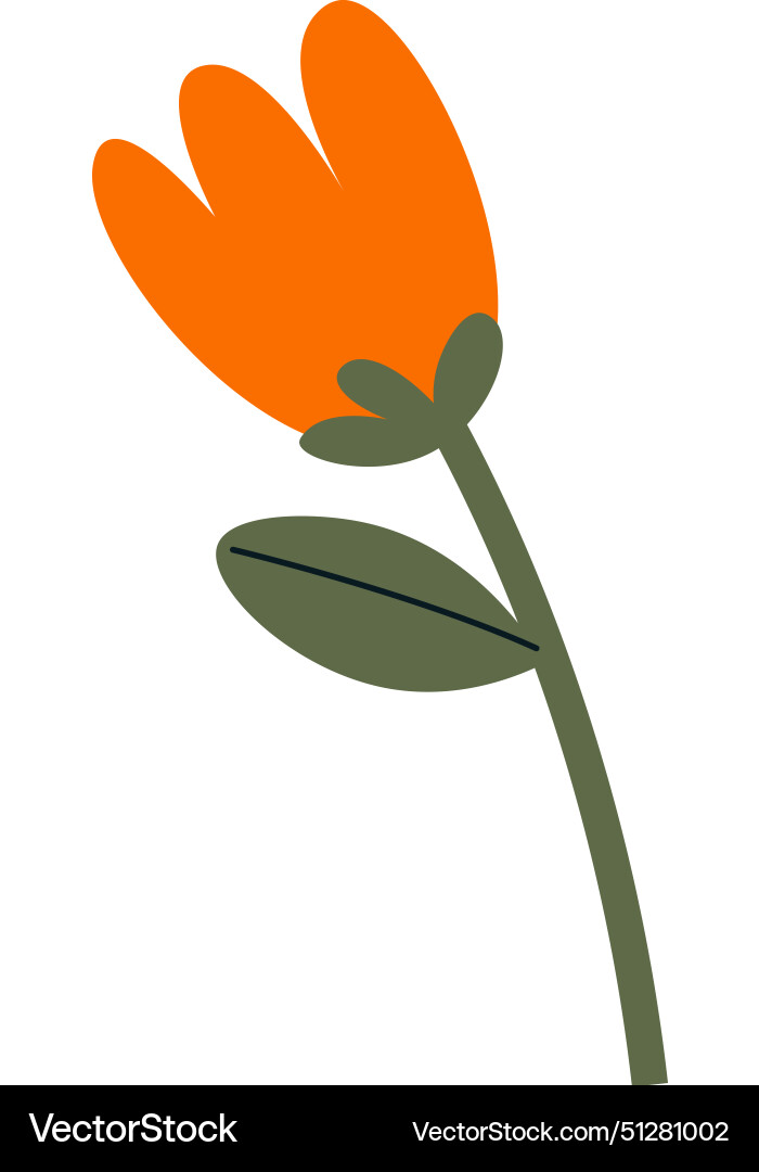 Flower on stem Royalty Free Vector Image - VectorStock