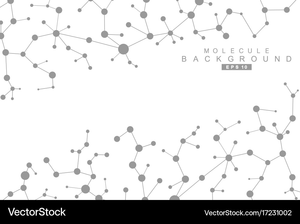 Structure molecule and communication dna atom Vector Image