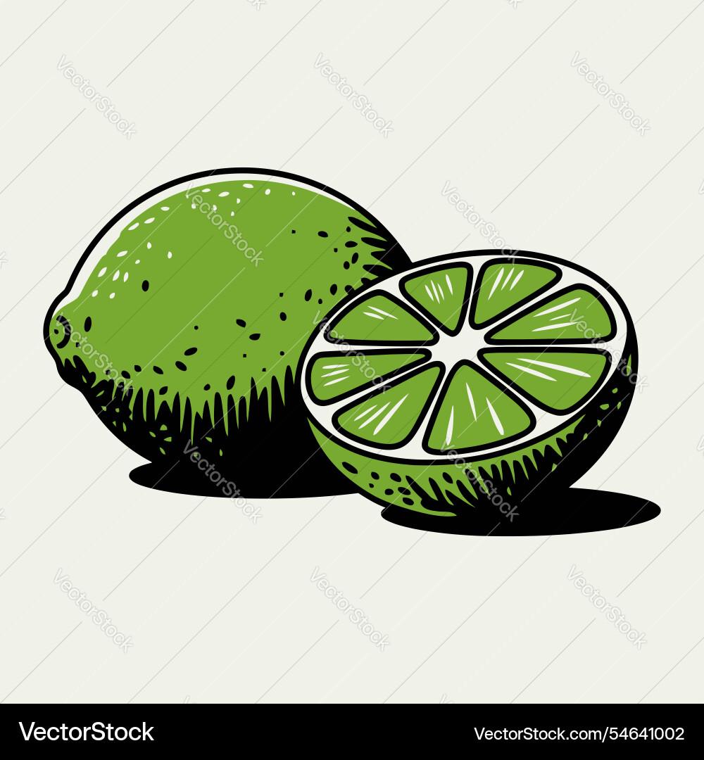 Whole and sliced lime in retro style Royalty Free Vector