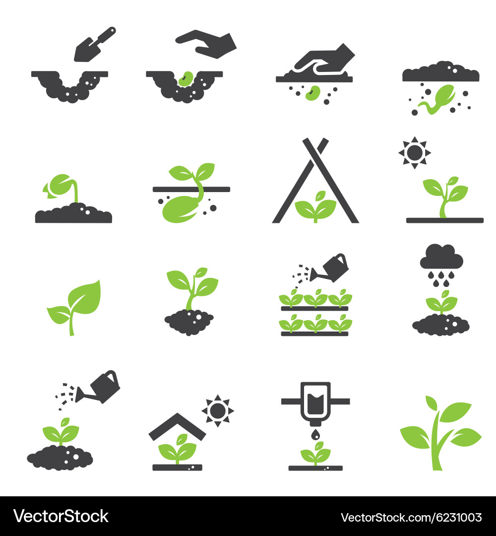 Plant Soil Vector Images (over 56,000)