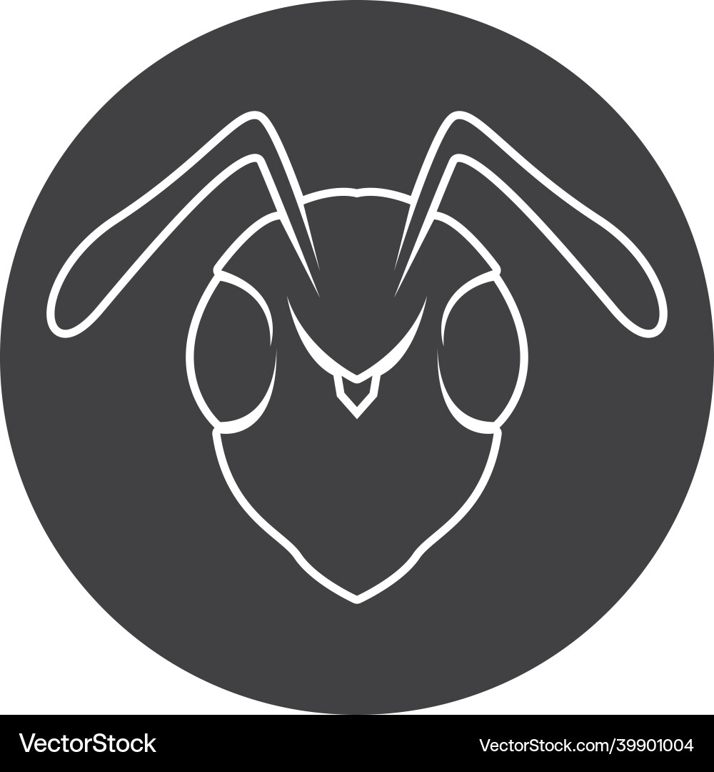 Ant design Royalty Free Vector Image - VectorStock