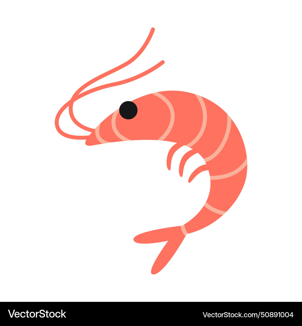 Shrimp cartoon style prawn in shell isolated Vector Image