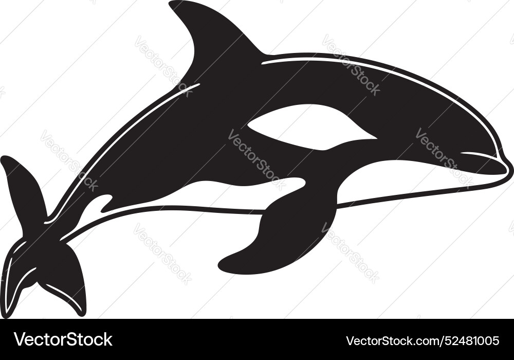 Darling dolphin defender lovely orca symbol Vector Image