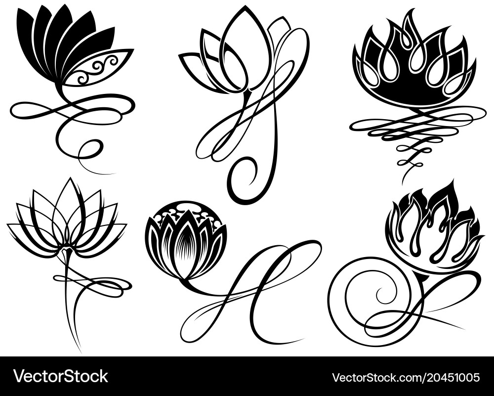 Lotus logo Royalty Free Vector Image - VectorStock